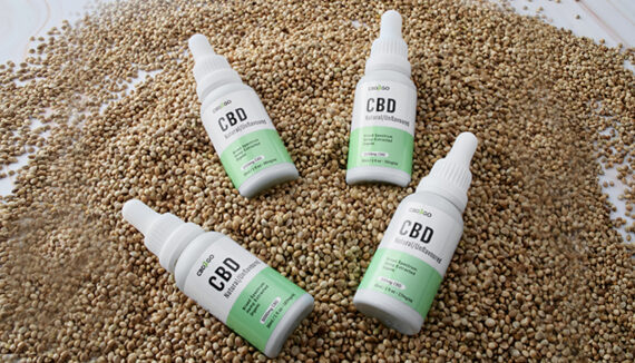 CBD vs. CBN vs. CBG: What’s the Difference, and Which One Should You ...